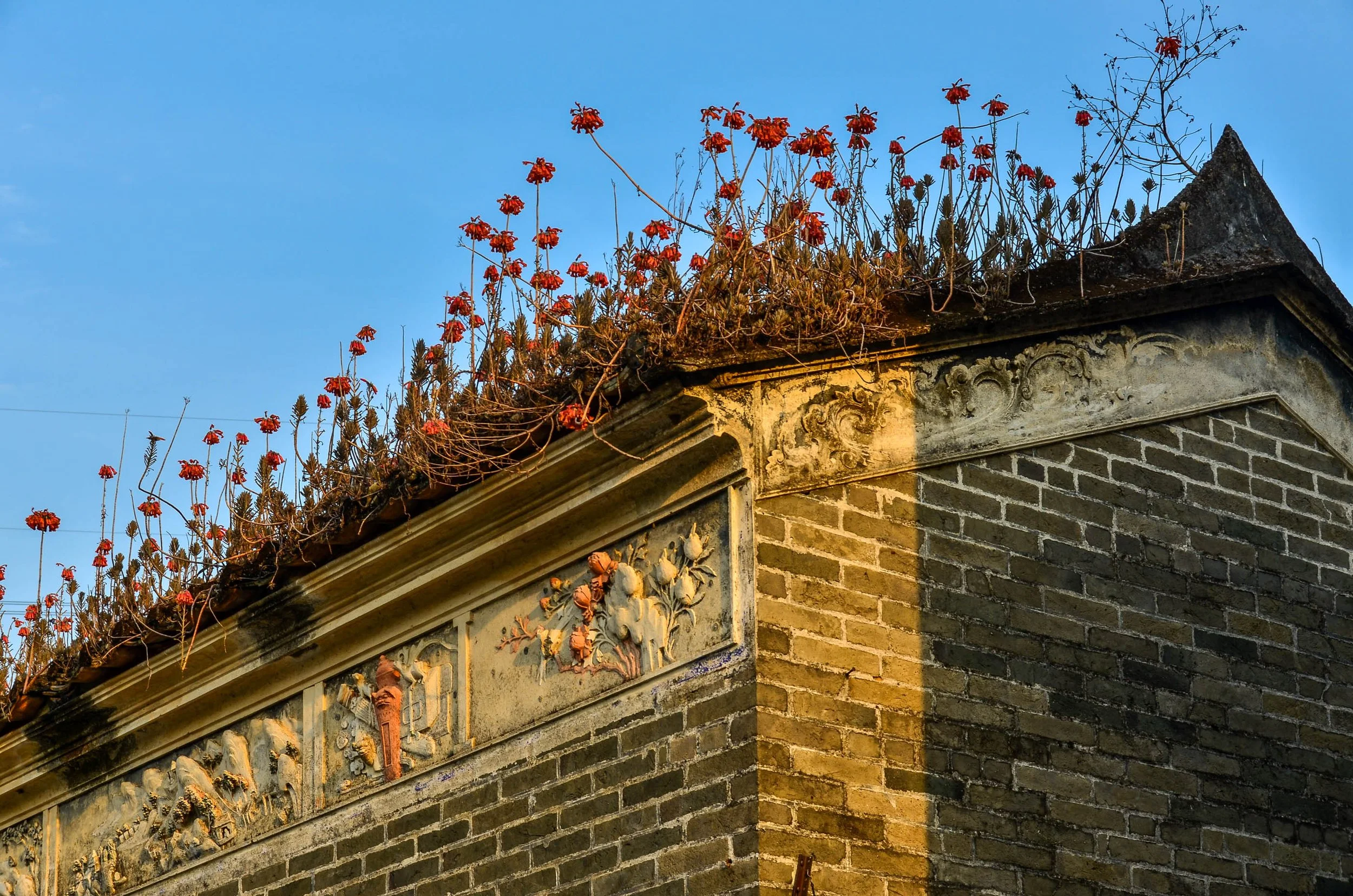 Stefan Irvine, 'Tung Shing Lei, Yuen Long', Hong Kong 2015 — Blue Lotus ...