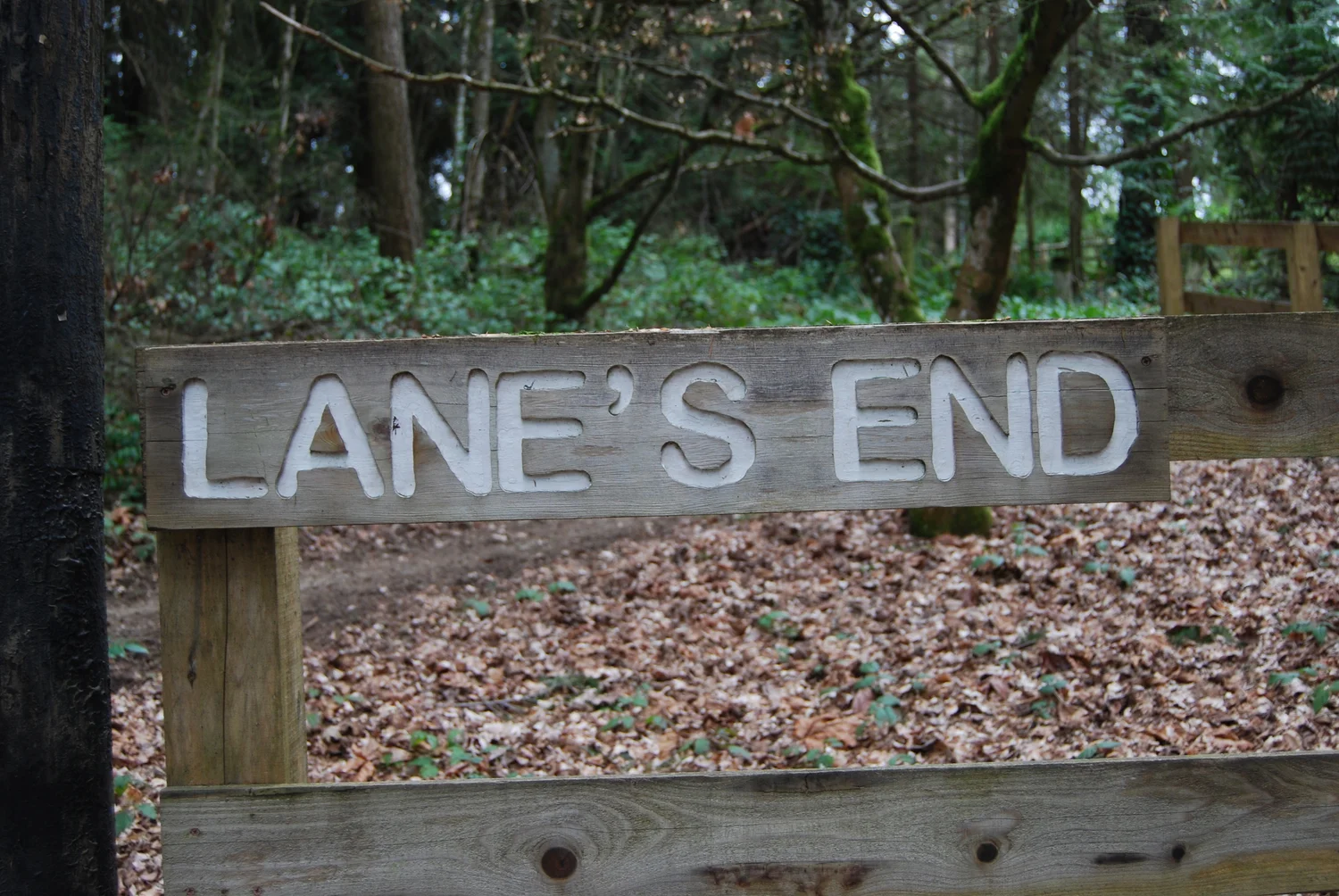 LANE'S END FARM