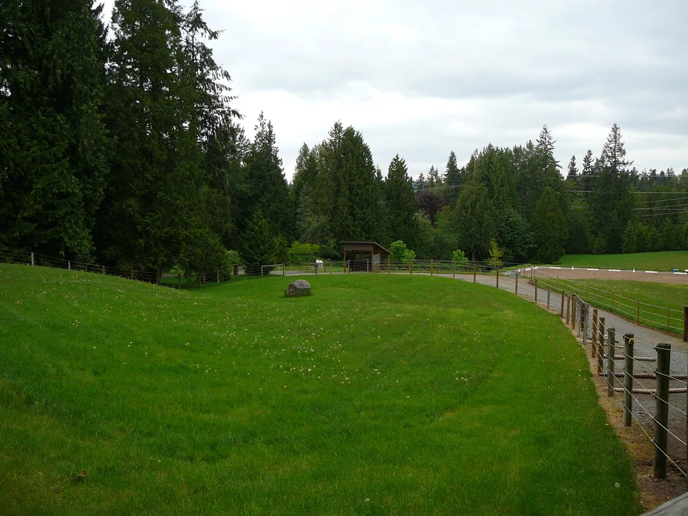 Other Turnouts — LANE'S END FARM