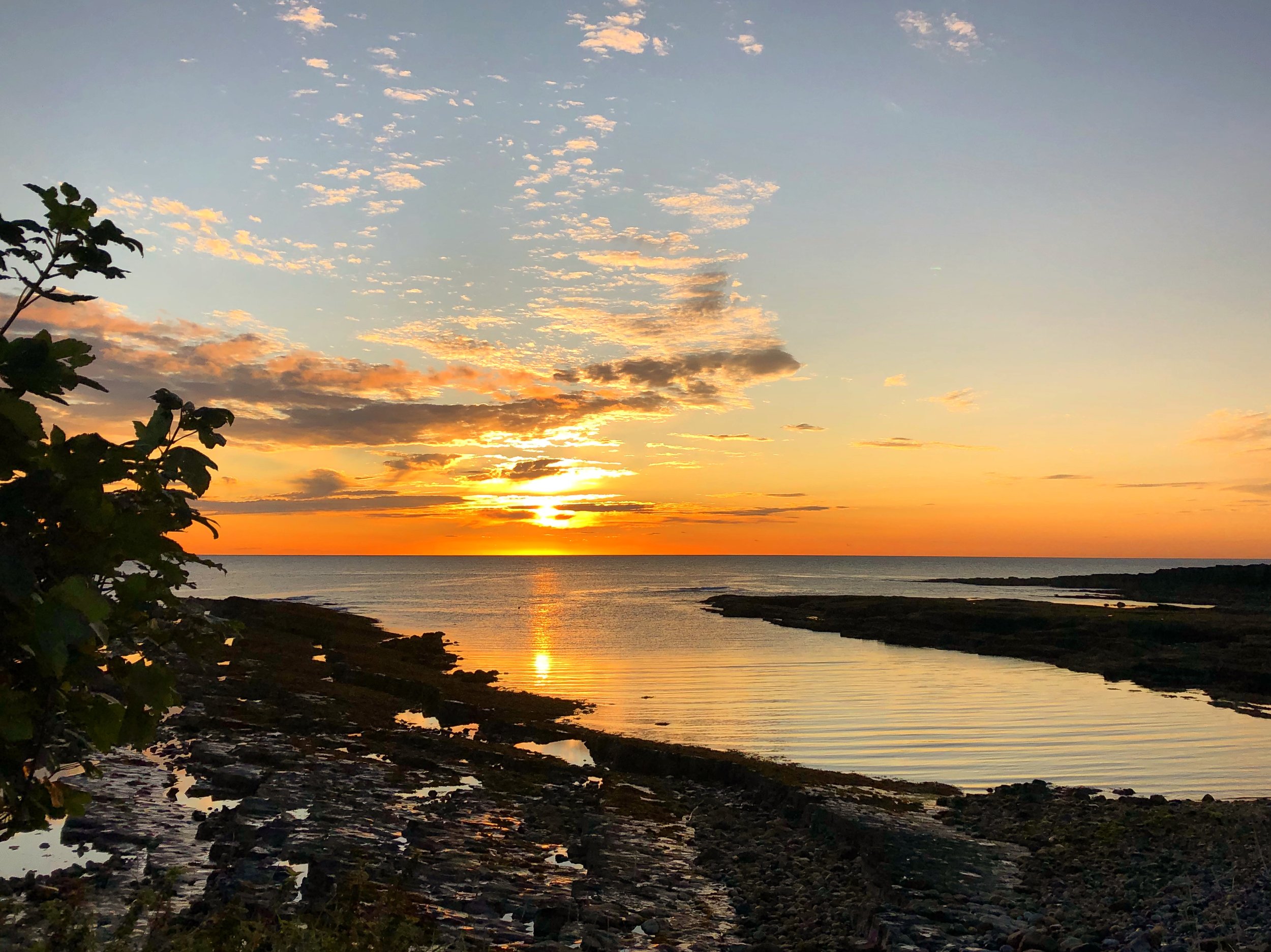 Toby page Urology Toby Page Urology