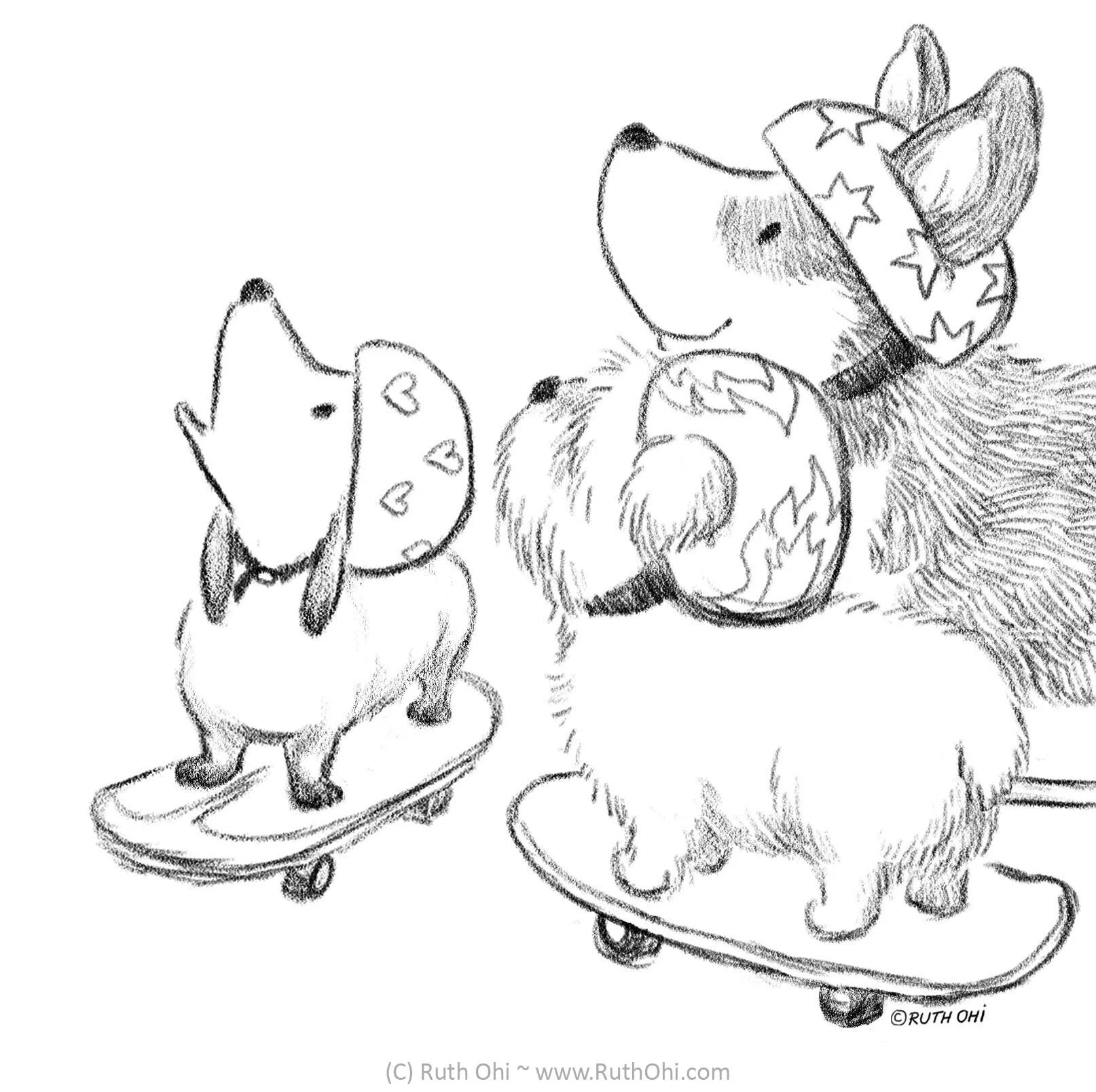 Ruth Ohi Art Portfolio — www.RuthOhi.com