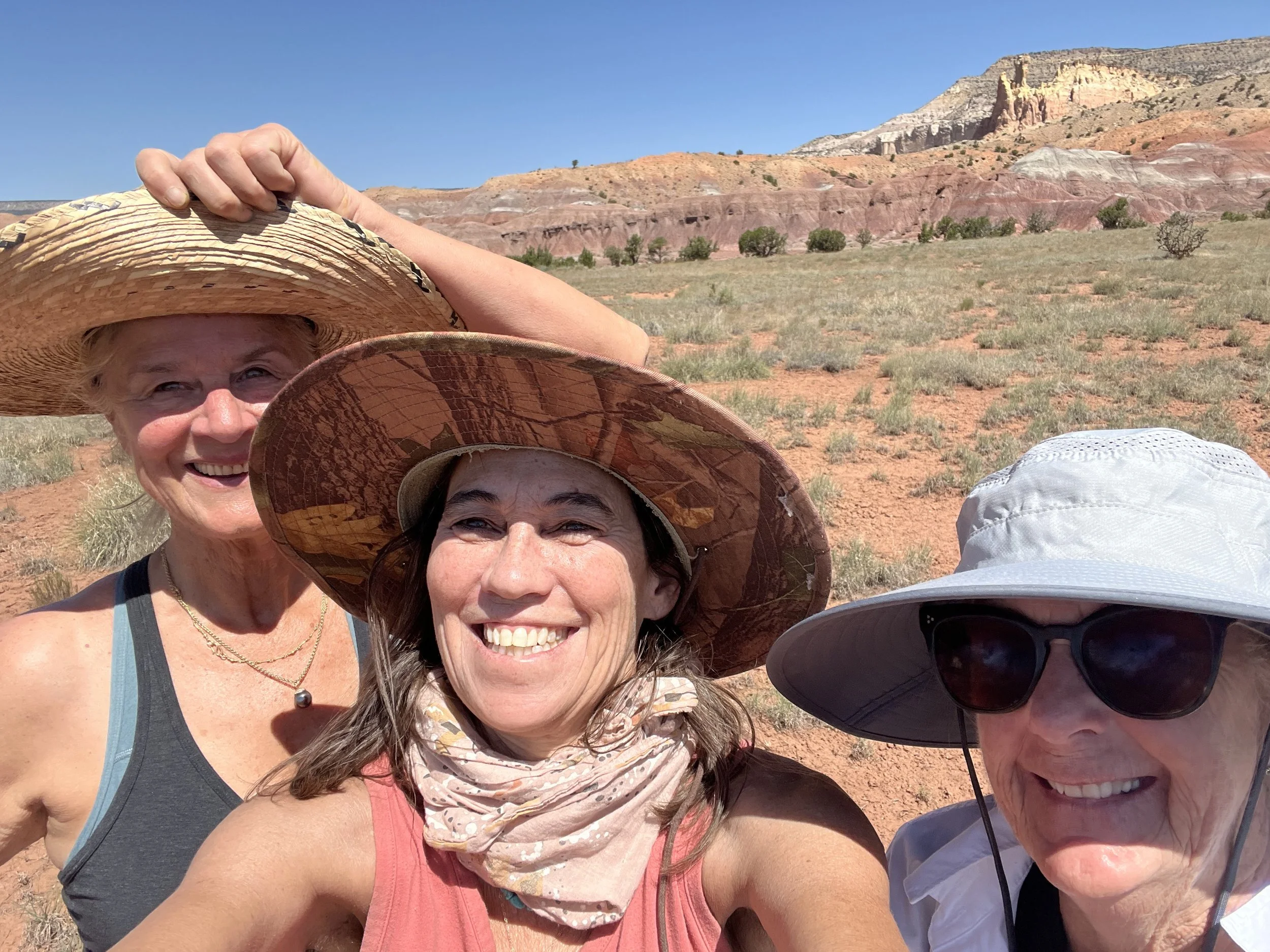 Online and In-Person Santa Fe Abstract Painting Workshops. — Mantecón ...