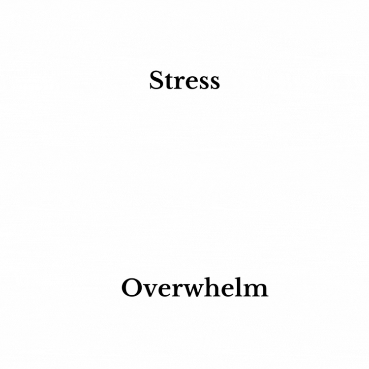 How to cope with overwhelm — One Life