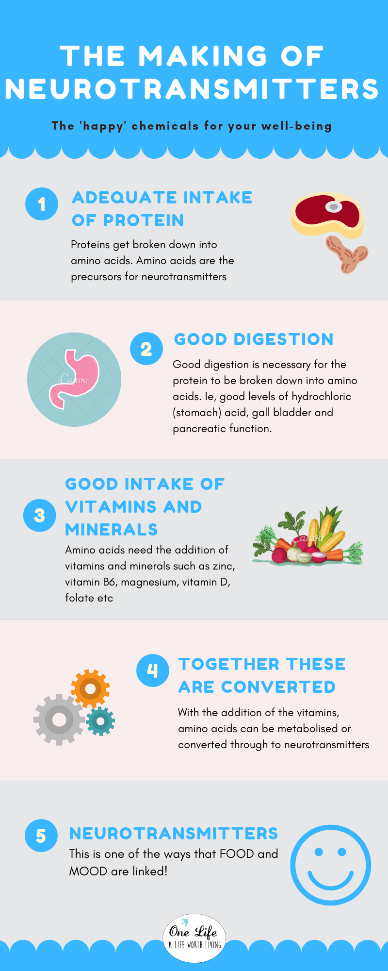 Making Neurotransmitters (infographic) — One Life