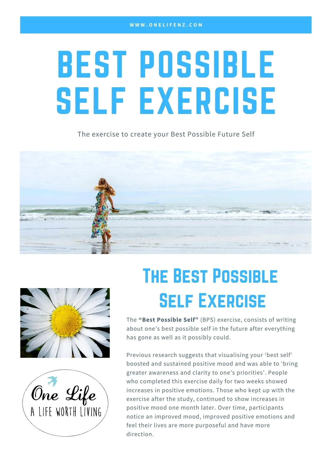 Best Possible Self Exercise — One Life