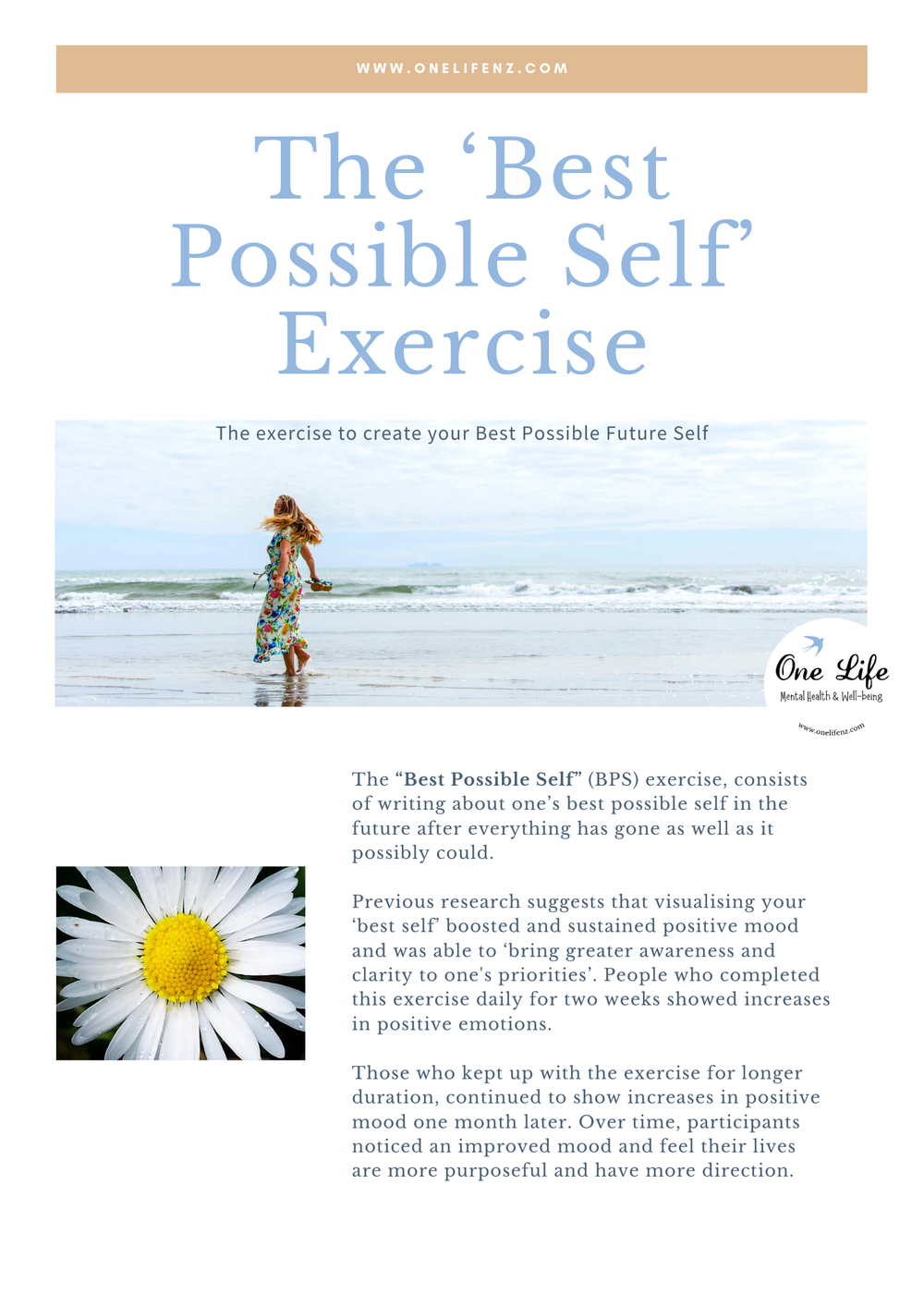 Best Possible Self Exercise — One Life