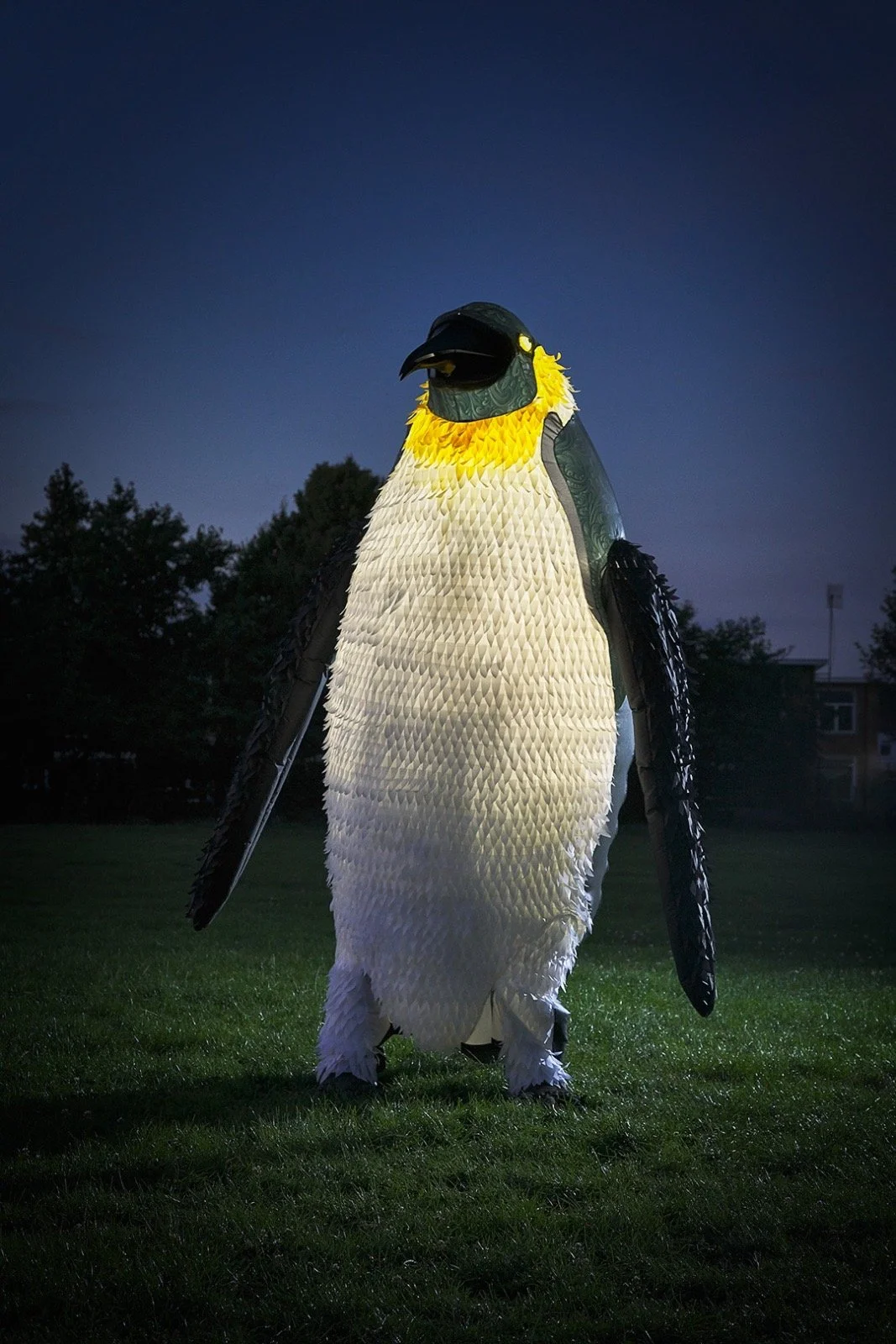 Blizzard the Penguin — Tim Davies Design