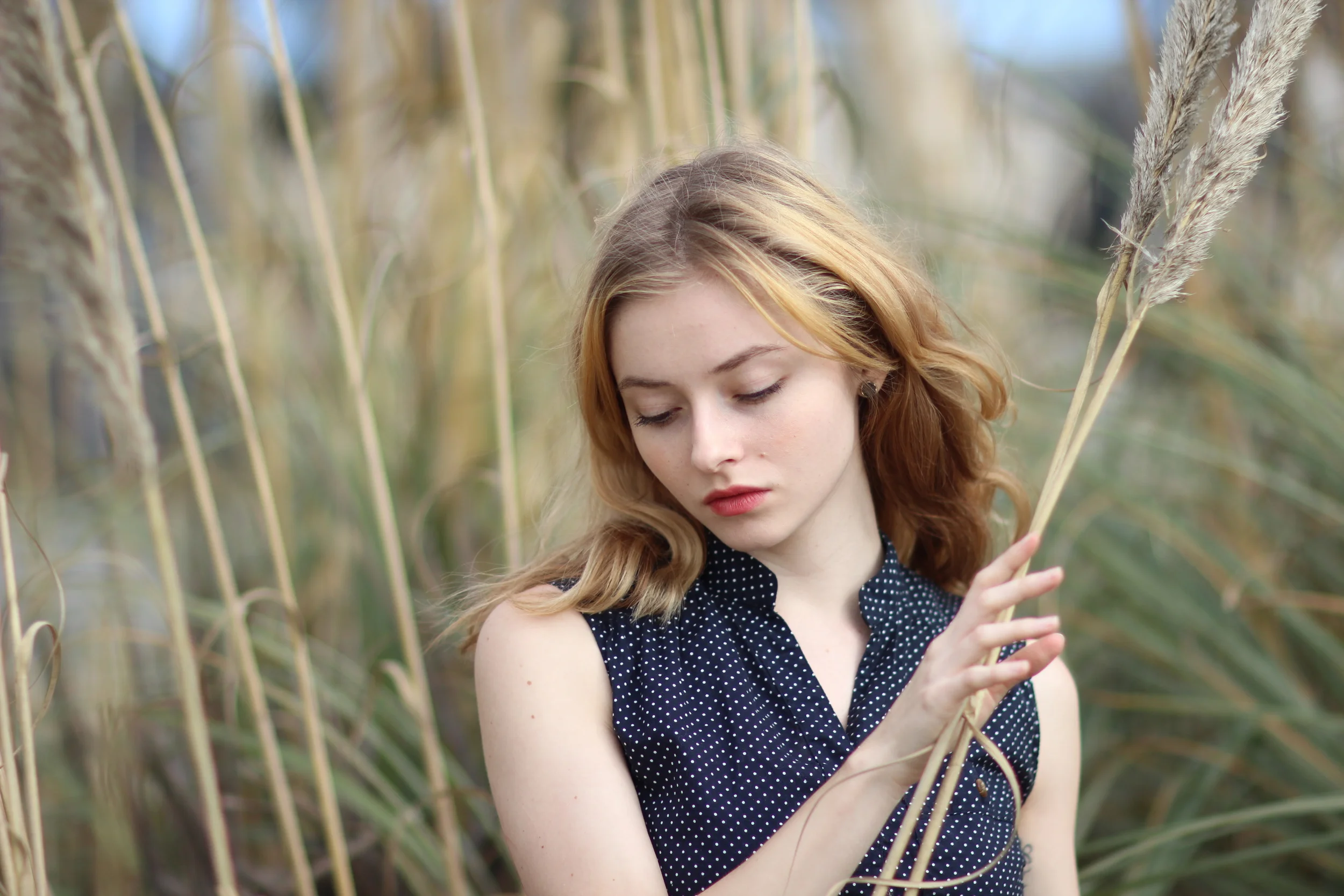 Alina Phillips, Nov 2015: Set 5, Wild in the Reeds (a) — Grethershot ...