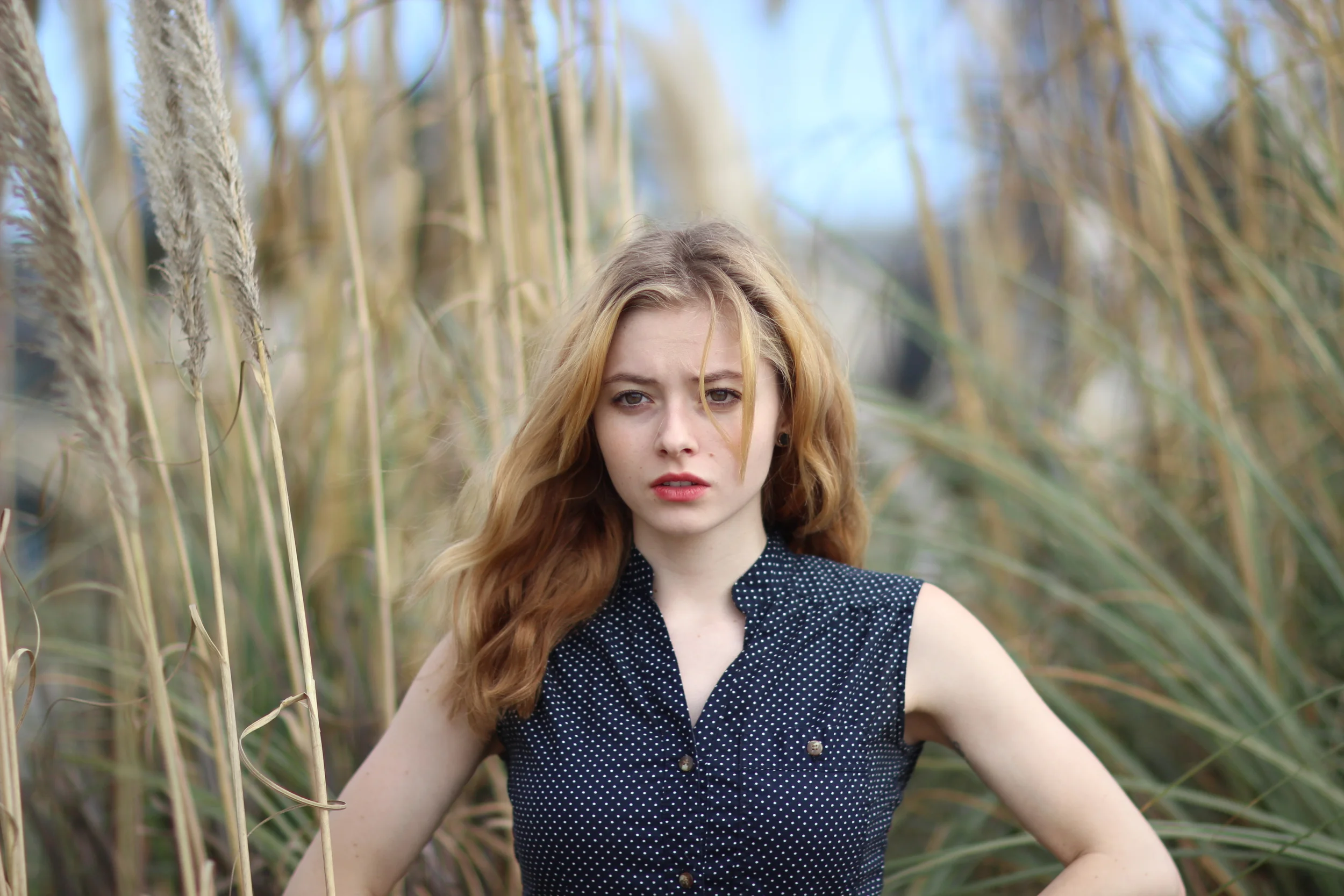 Alina Phillips, Nov 2015: Set 5, Wild in the Reeds (a) — Grethershot ...