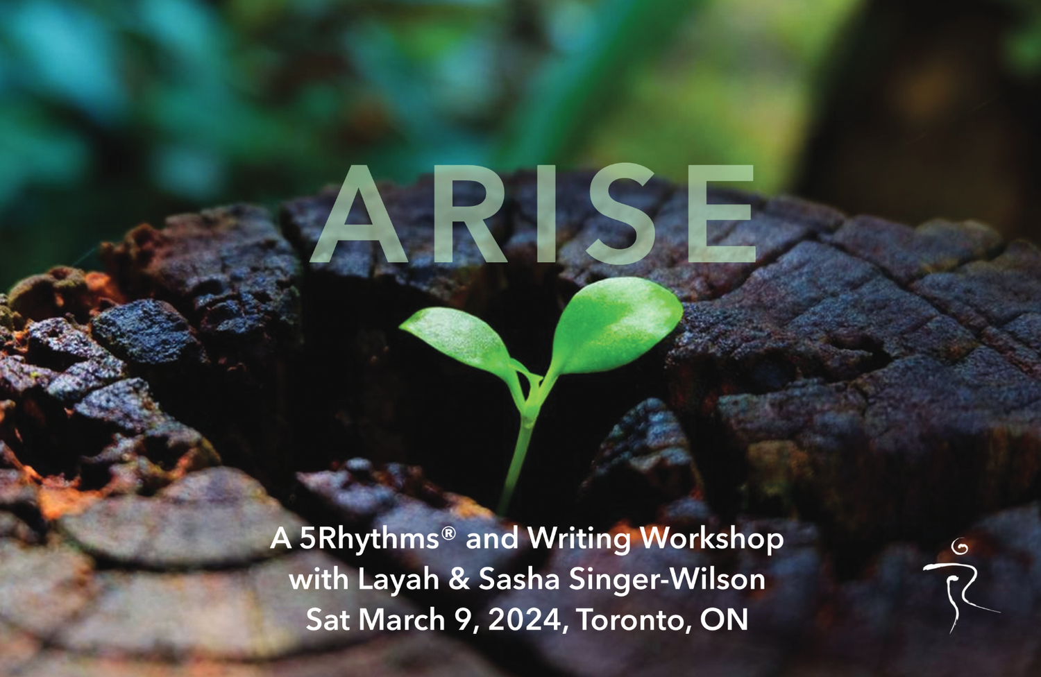 Arise ~ A 5Rhythms and Writing Workshop with Layah & Sasha Singer ...