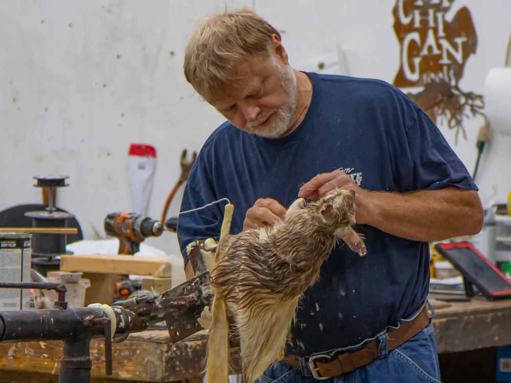 The Wildlife Gallery Custom Taxidermy Studio - Taxidermy Studio