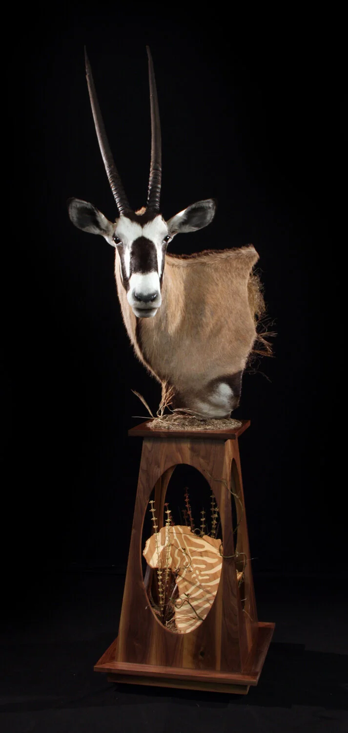The Wildlife Gallery Custom Taxidermy Studio - Gemsbok/Oryx Taxidermy ...