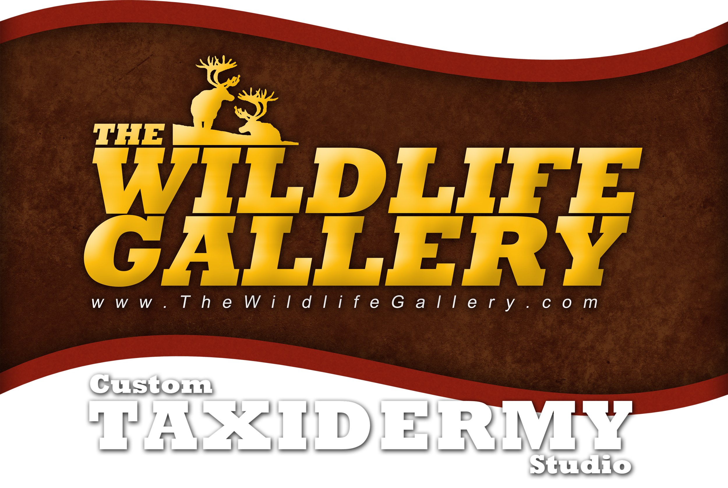 The Wildlife Gallery Custom Taxidermy Studio - Taxidermy Studio