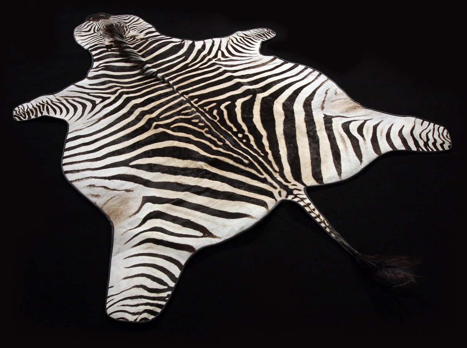 The Wildlife Gallery Custom Taxidermy Studio - Rug Taxidermy Photos ...