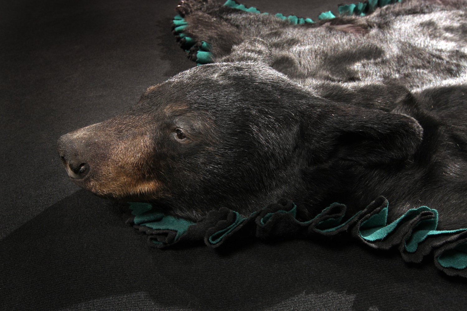 The Wildlife Gallery Custom Taxidermy Studio - Rug Taxidermy Photos ...