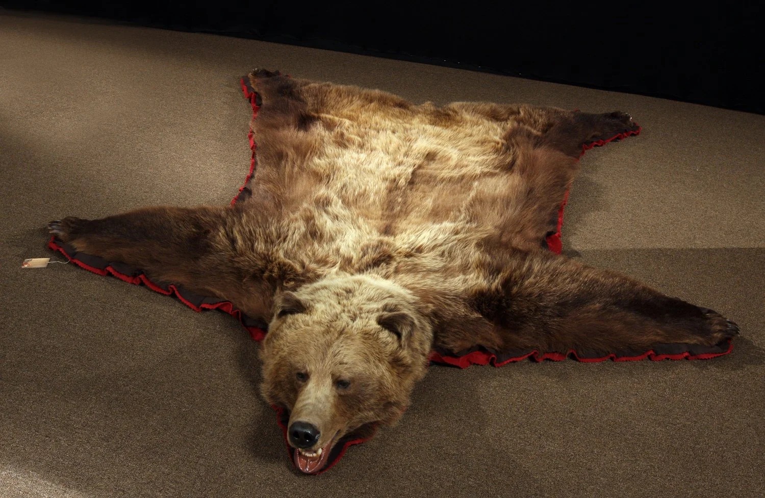 The Wildlife Gallery Custom Taxidermy Studio - Rug Taxidermy Photos ...