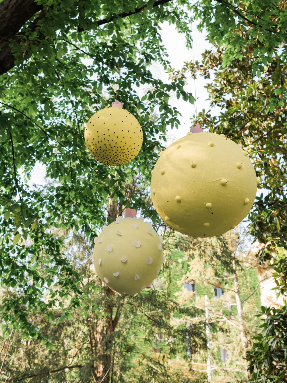 Paper Gardens — Studio Ossidiana