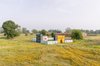 SeedBed / Alcantara & MAXXI — Studio Ossidiana
