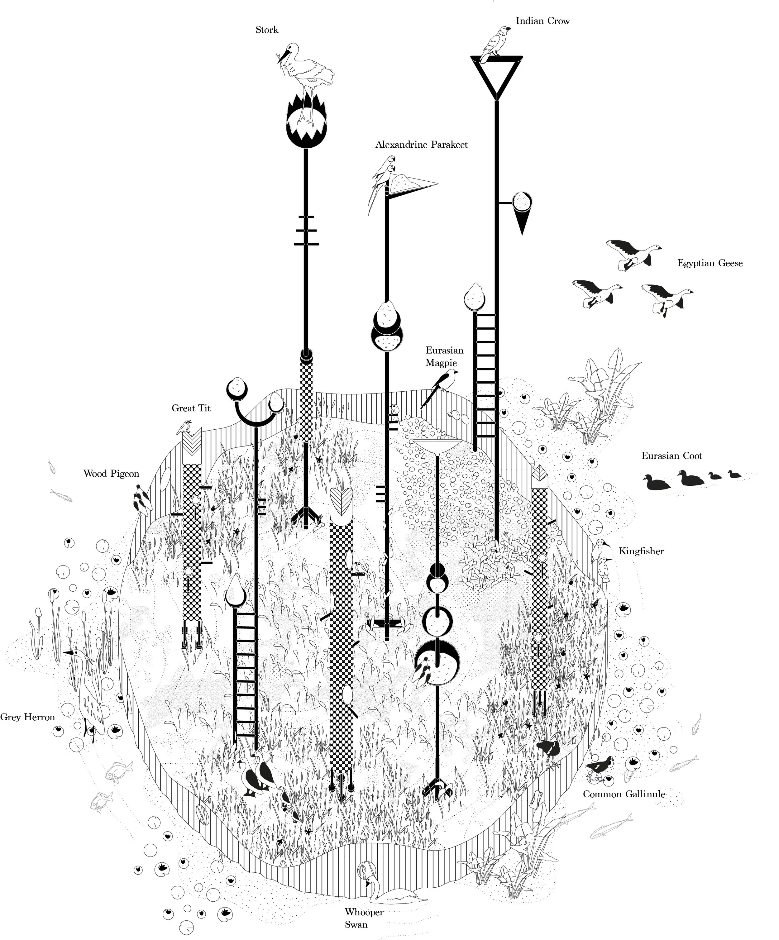 The Birds 'Palace / Vondelpark — Studio Ossidiana