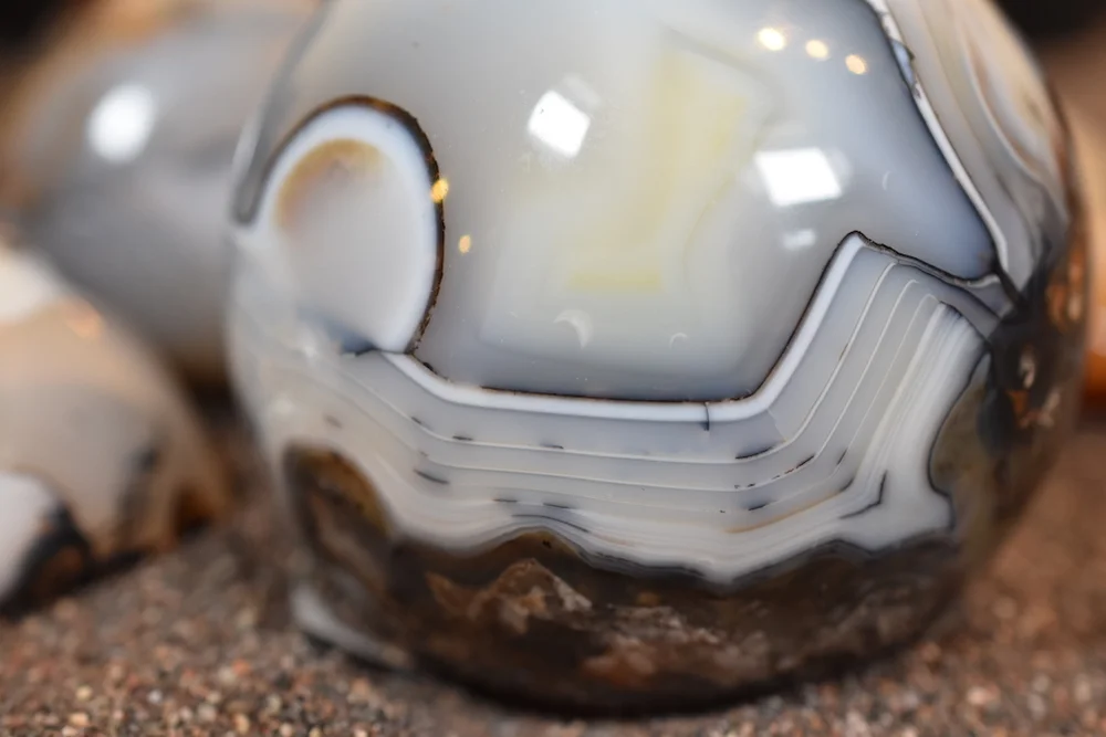 The Local Gem — Designed for Thriving