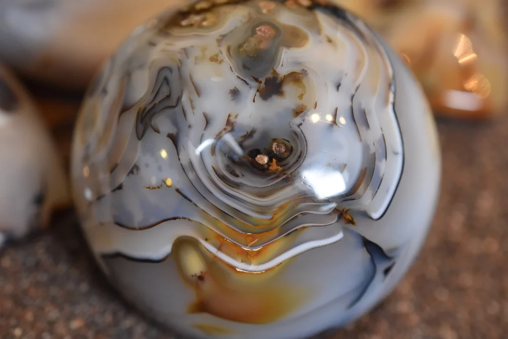 The Local Gem — Designed for Thriving