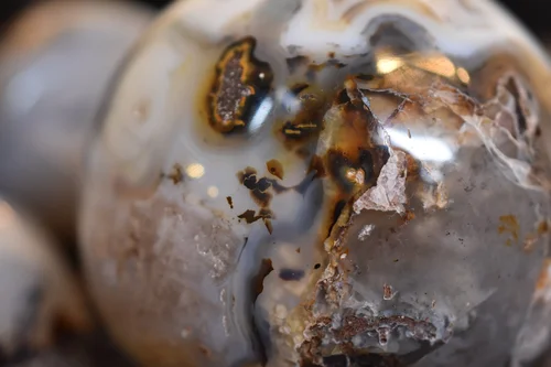 The Local Gem — Designed for Thriving