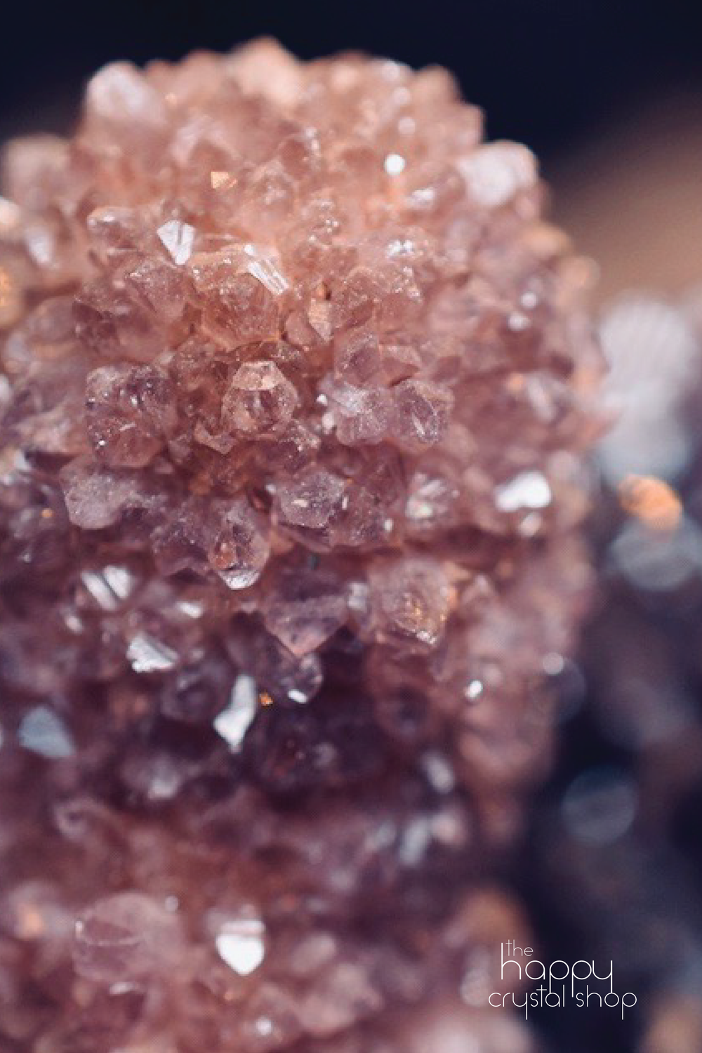 The Local Gem — Designed for Thriving