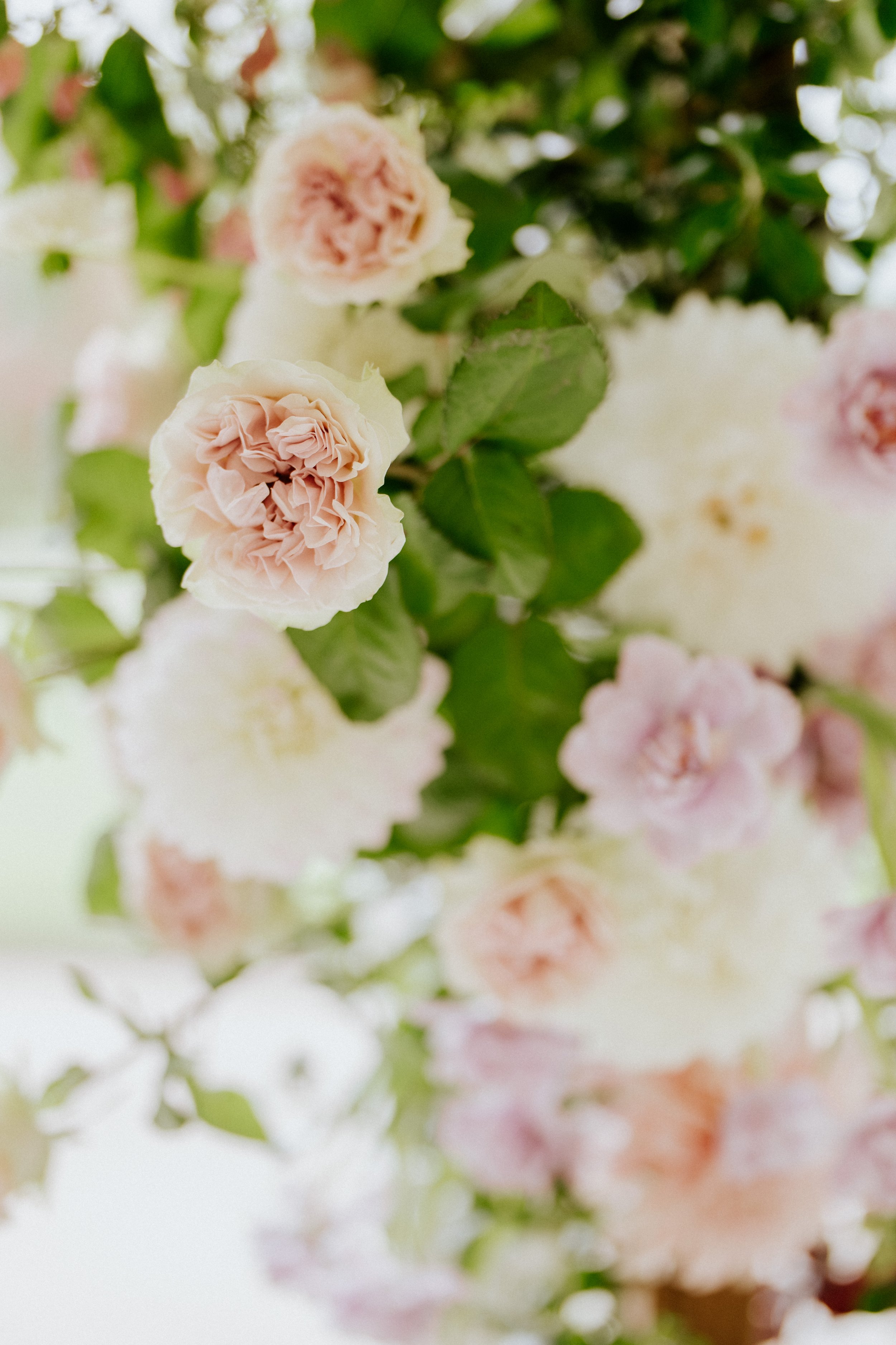 EMMA BLAKE FLORAL - Wedding Florist Southern Highlands - Event and ...