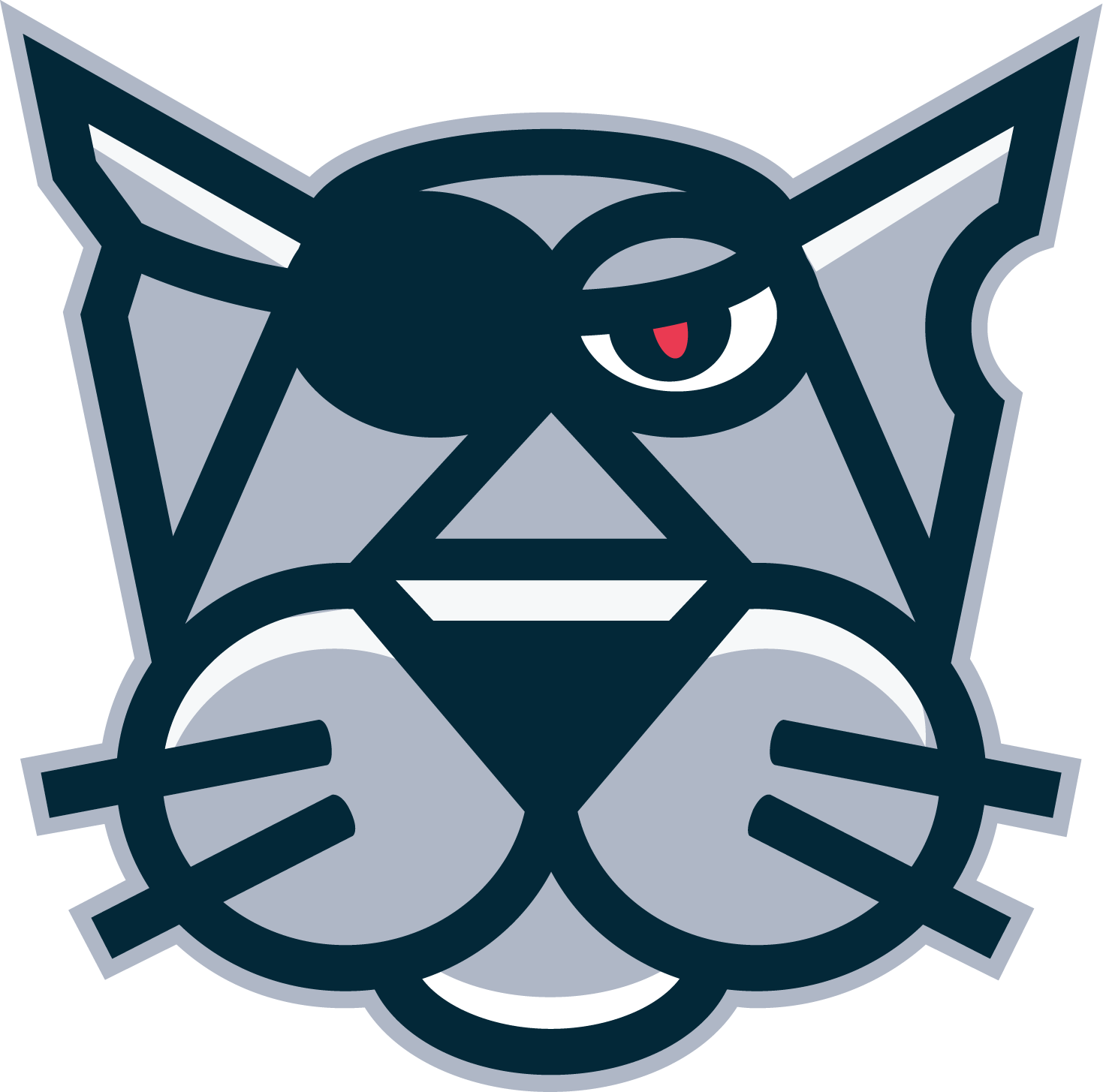 Los Angeles Cougars GAA