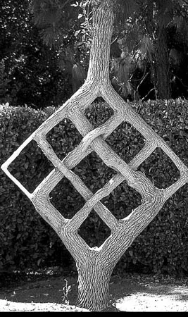 The history of arborsculpture — Arborsmith Studios