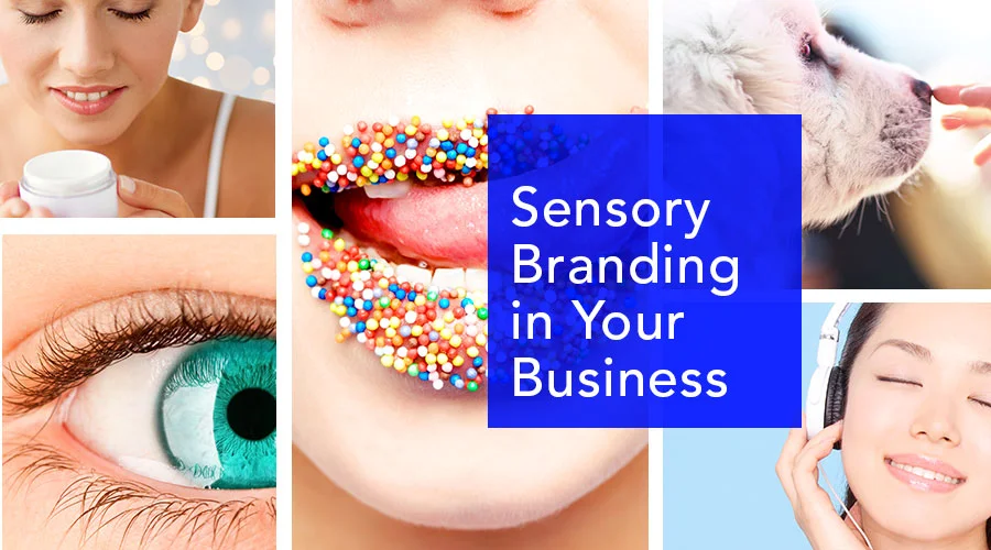 Incorporating Sensory Branding into Your Business - Engaging the Senses ...