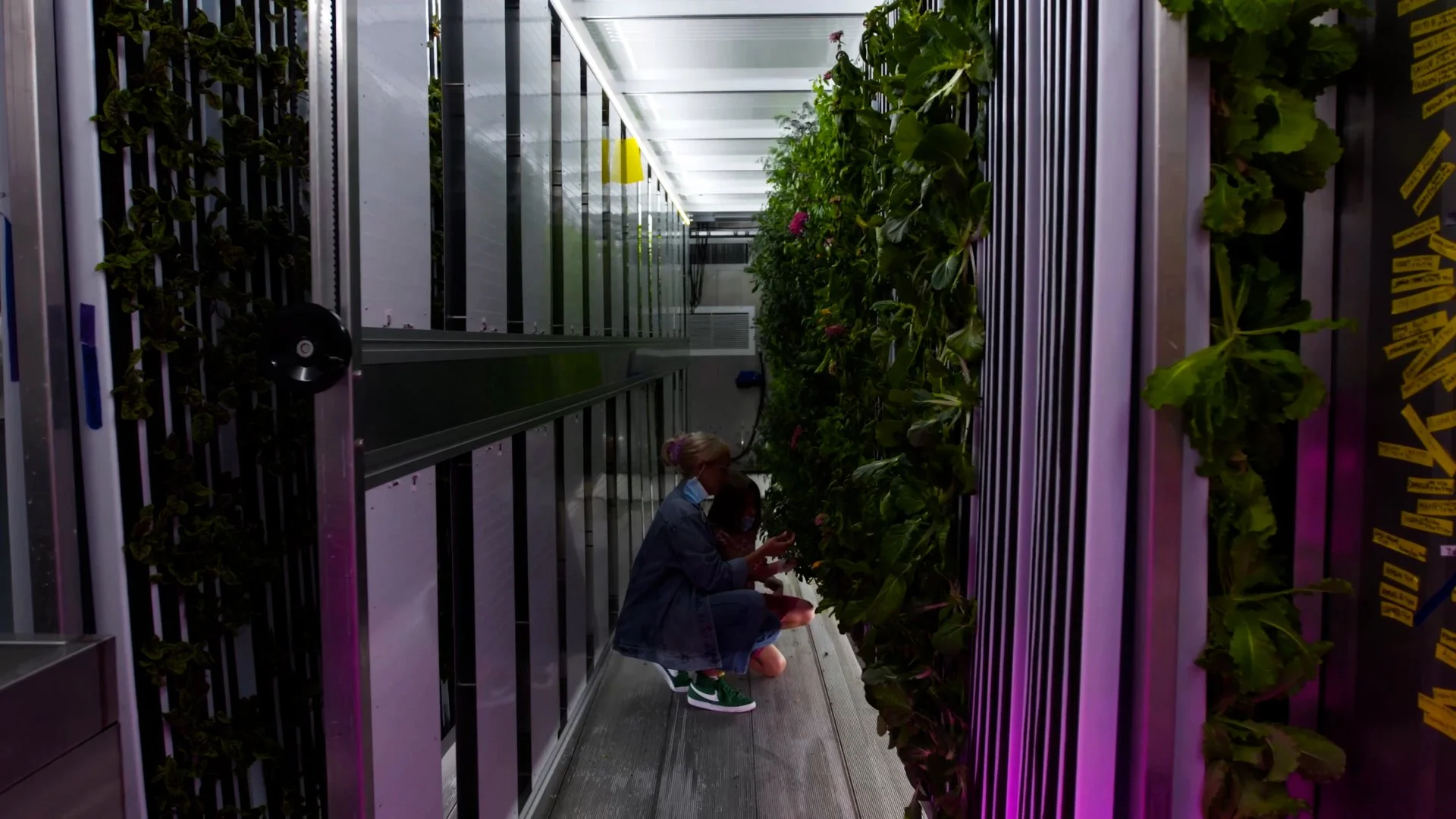 Start a Nonprofit Vertical Farming Program - Freight Farms
