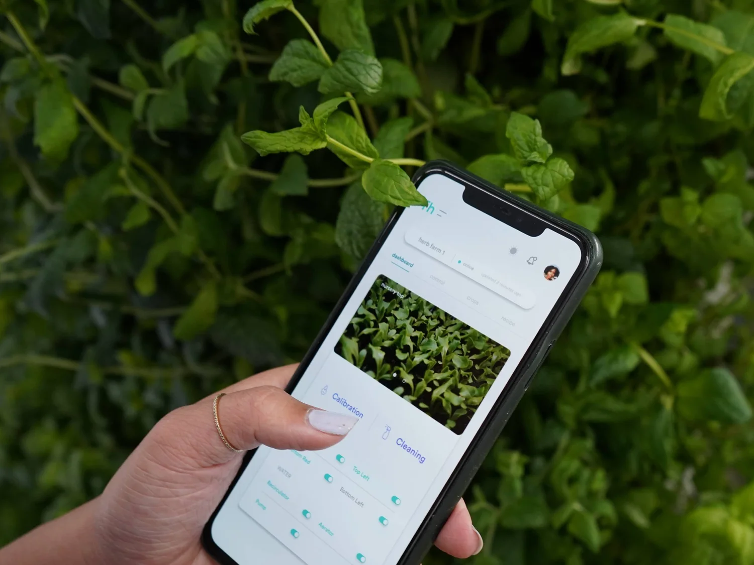 Beginner’s Guide to Hydroponic Farming in the Greenery™