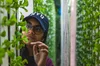 Case Study: Square Roots Container Farm