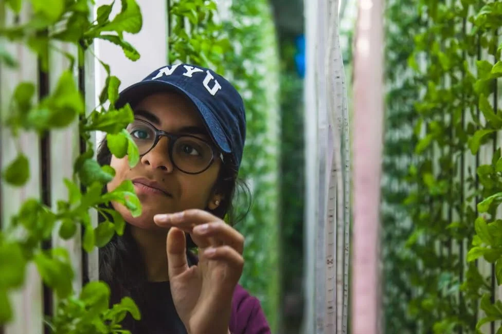 Case Study: Square Roots Container Farm