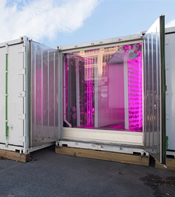 Case Study: Square Roots Container Farm