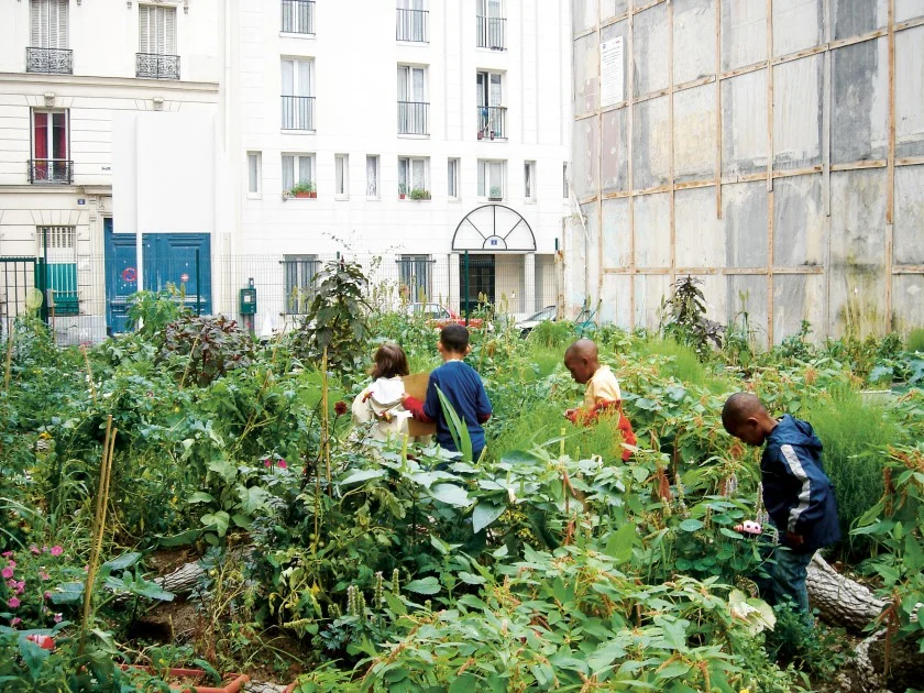 Urban Hydroponic Farming