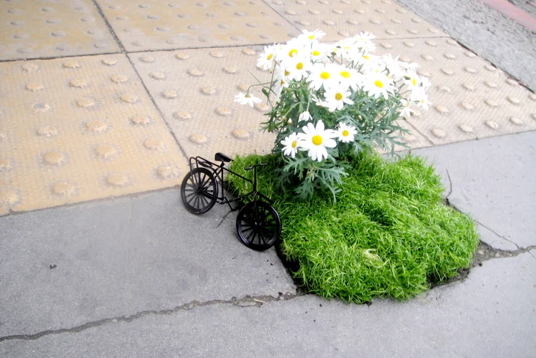 Urban Hydroponic Farming