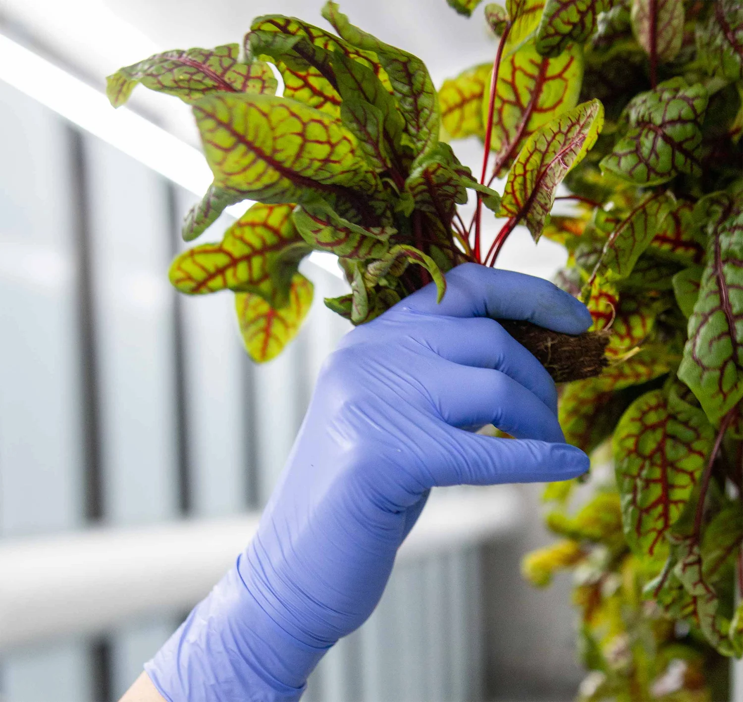 Hydroponic Farming & Container Farming 101