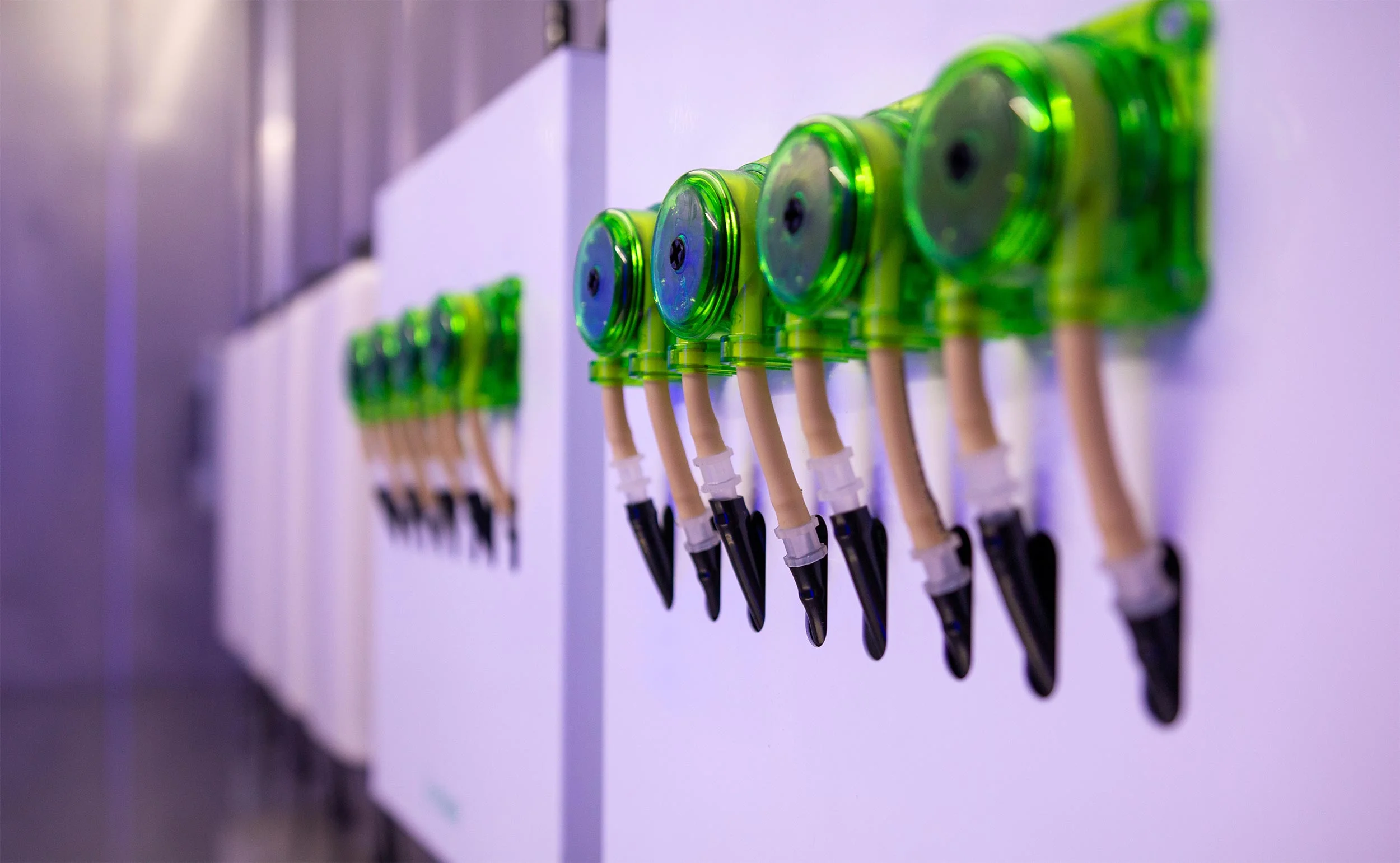 The Greenery | Freight Farms