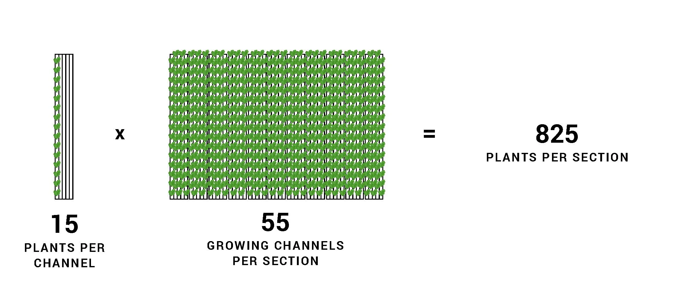 Maximizing space in the Greenery S with vertical farming – Freight Farms