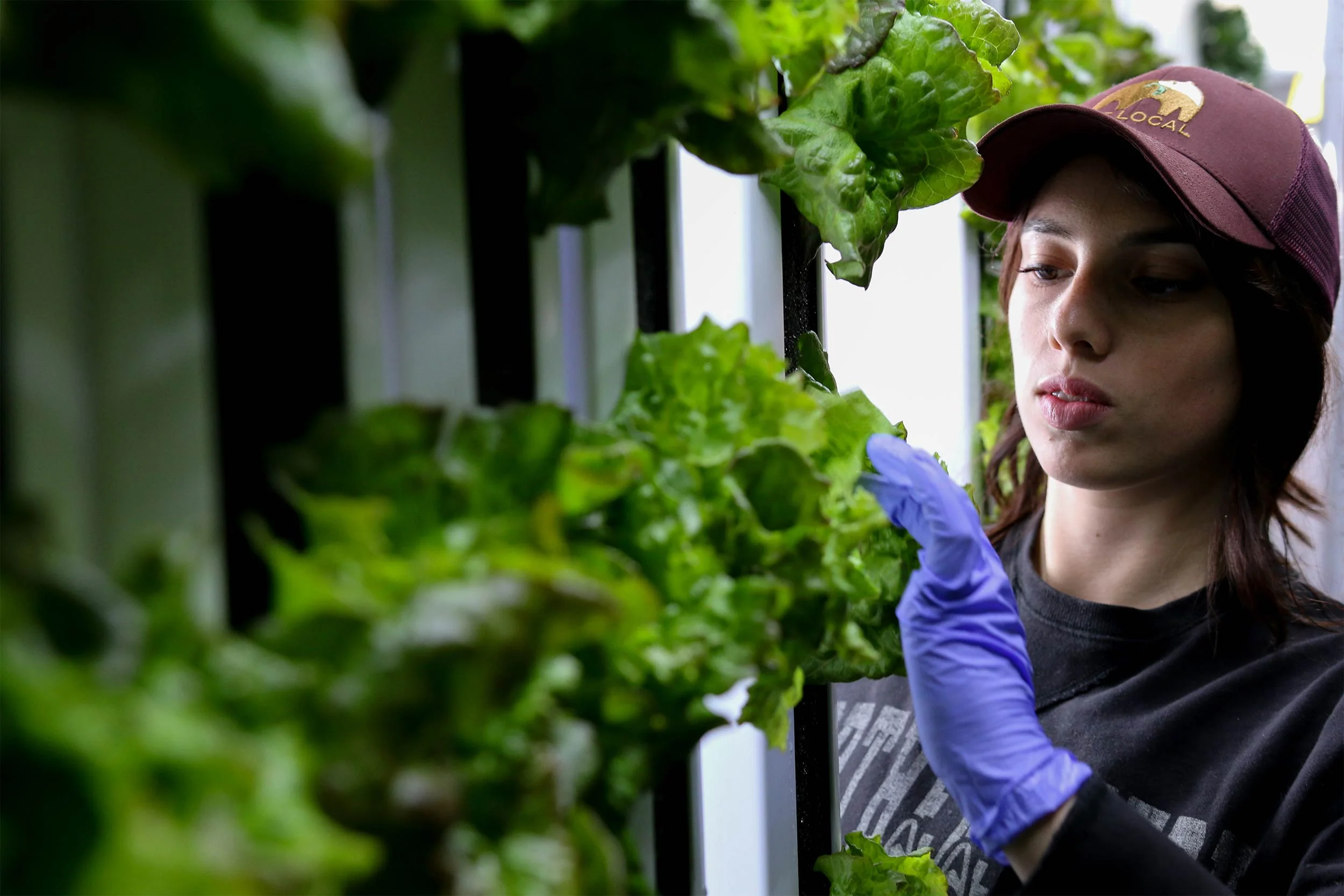 How to Start a Farm to School Program With a Freight Farm