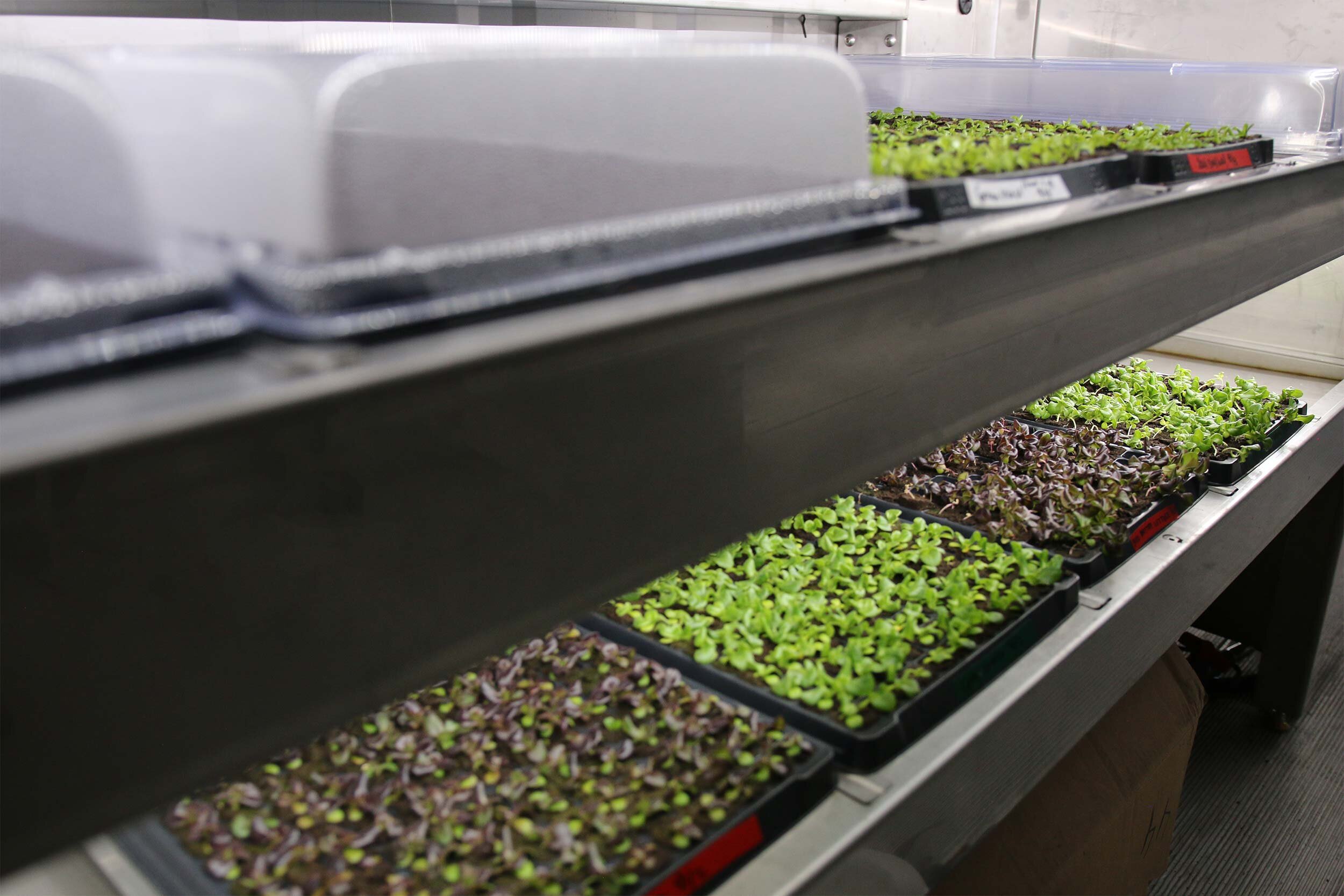 The Technology Behind Container Farming
