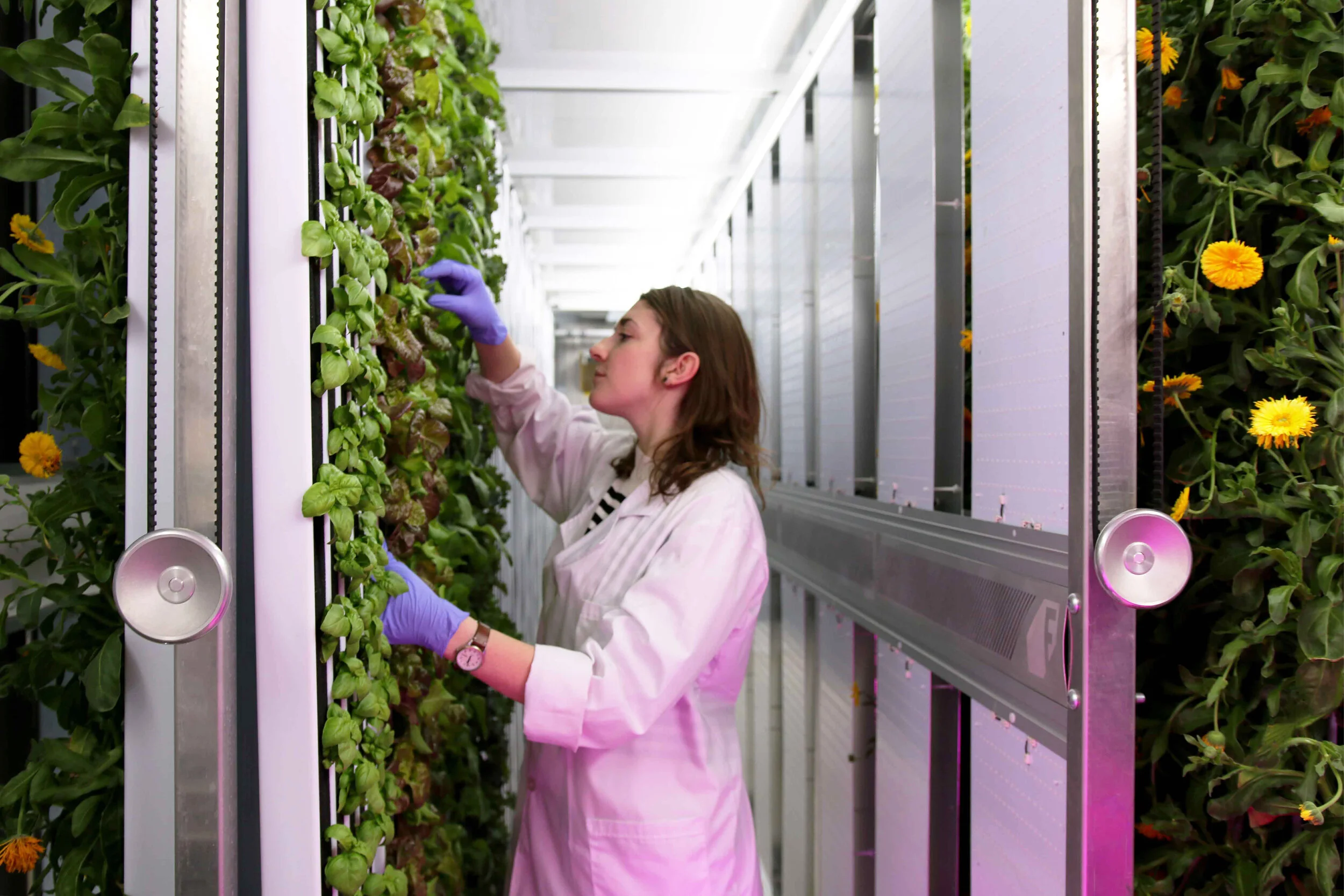 The Greenery - Smart Container Farm | Freight Farms