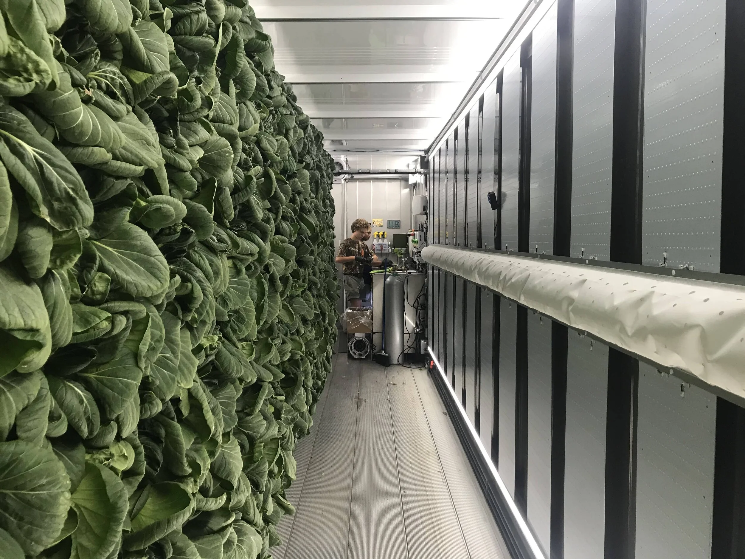 Start a Farm Business | Freight Farms