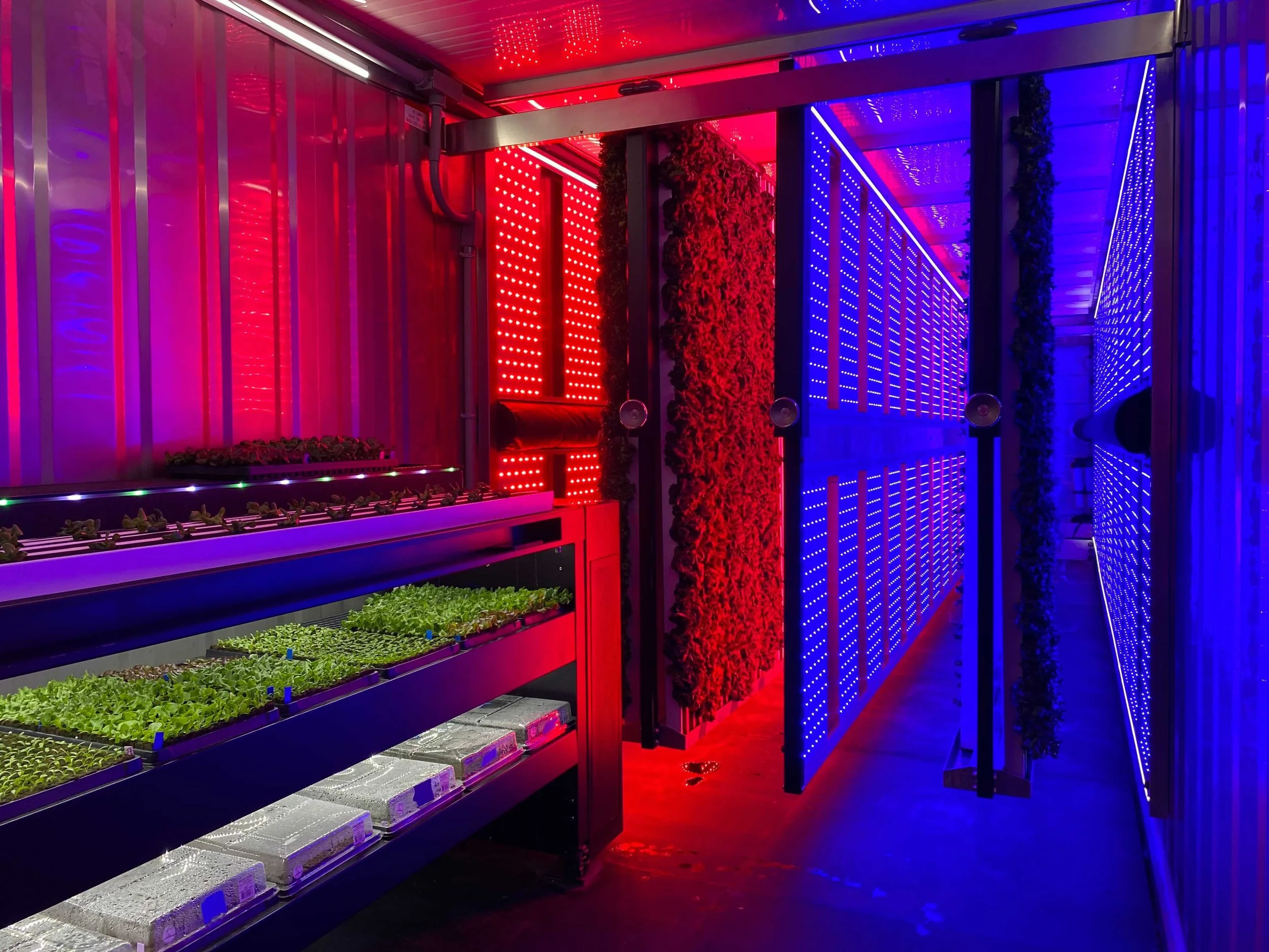 Hydroponic Growing Setup | Urban Farming with Freight Farms