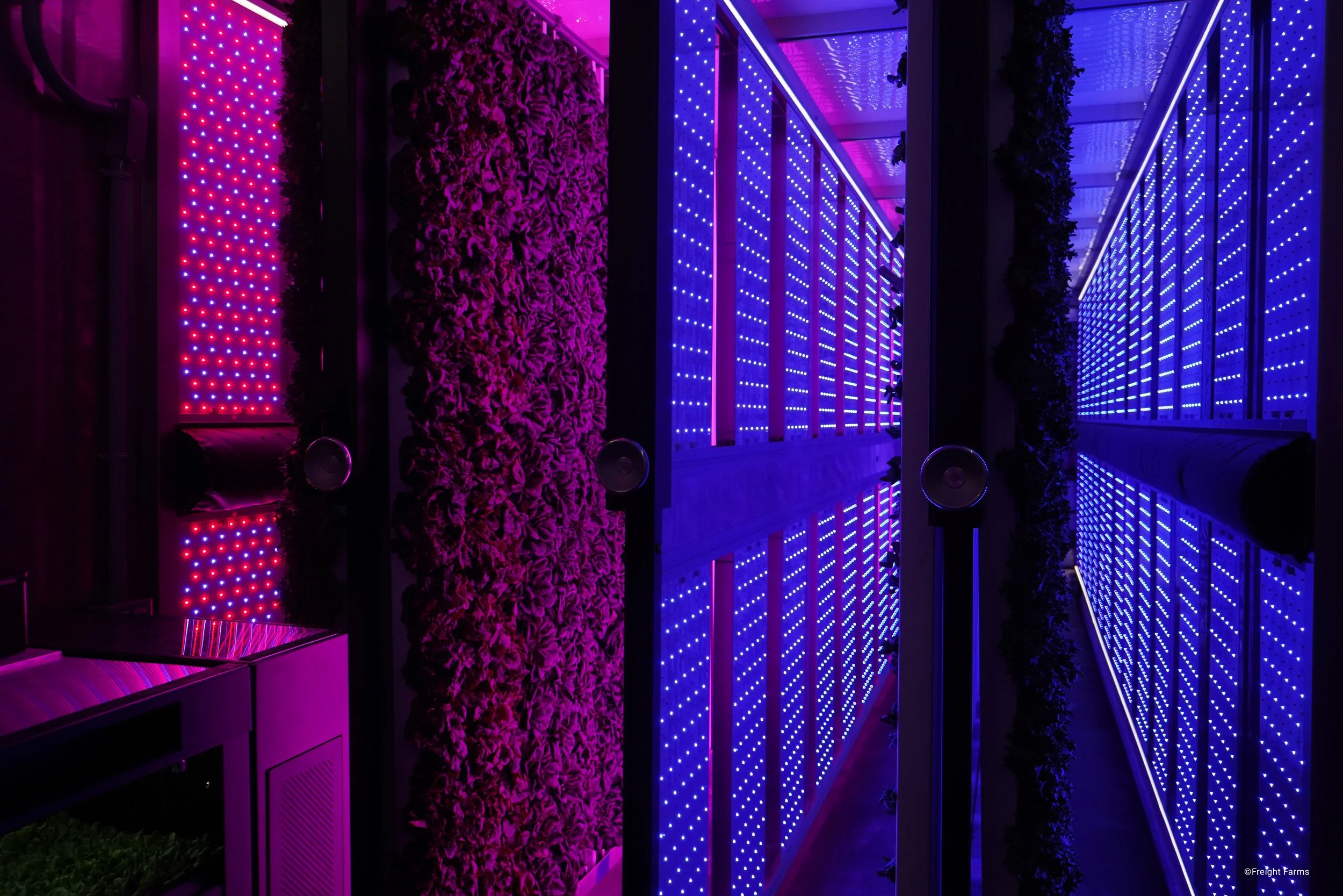 Greenery S | The Ultimate Vertical Farm | Freight Farms