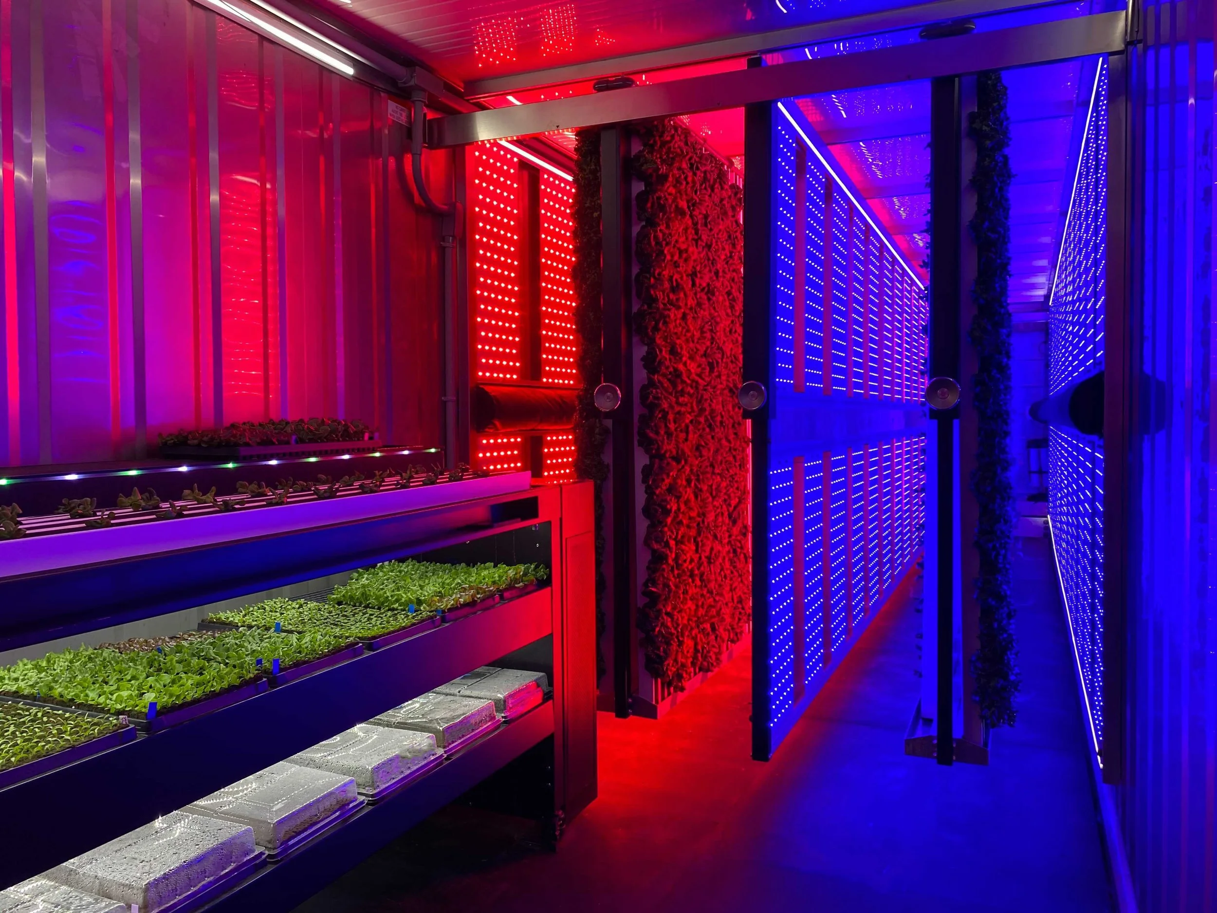 The Greenery S | Controlled Hydroponic Container - Freight Farms