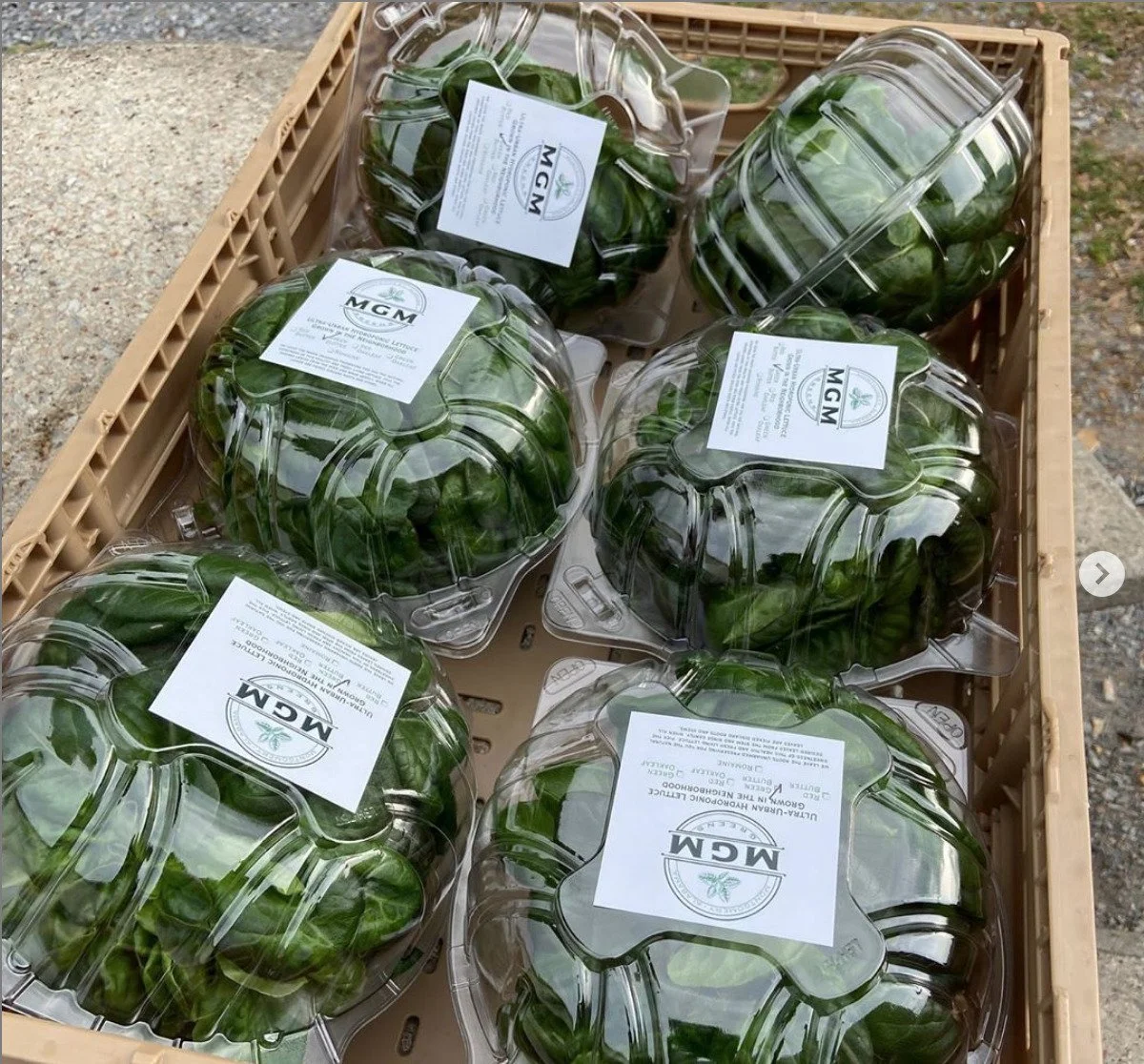 How to Package Crops | Freight Farms