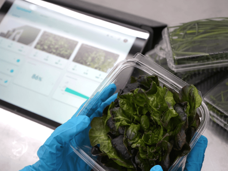 The Greenery S | Controlled Hydroponic Container - Freight Farms